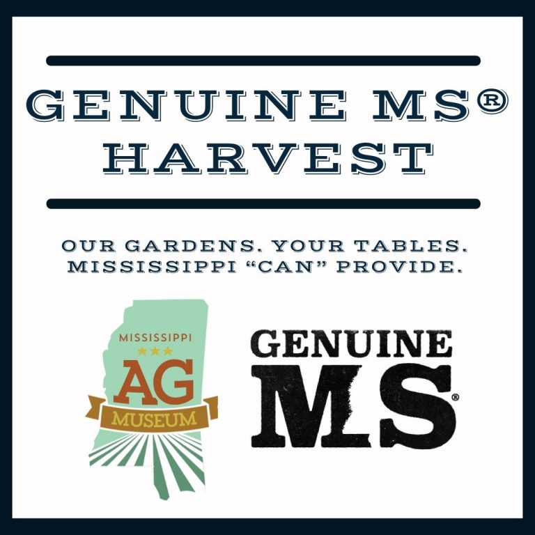 Genuine MS® "CAN" Harvest - Genuine MississippiGenuine Mississippi