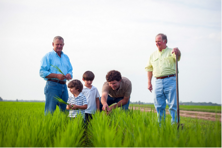 Discover the Flavors of Delta Blues Rice and Two Brooks Farm This Rice ...